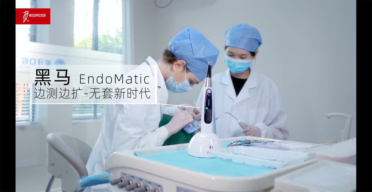 啄木鸟/WOODPECKER 根管预备机 EndoMatic